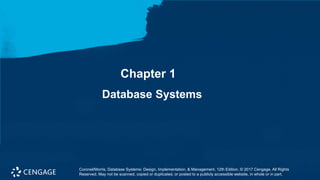 Inforation Systems Chapeter 1 - Database systems | PDF