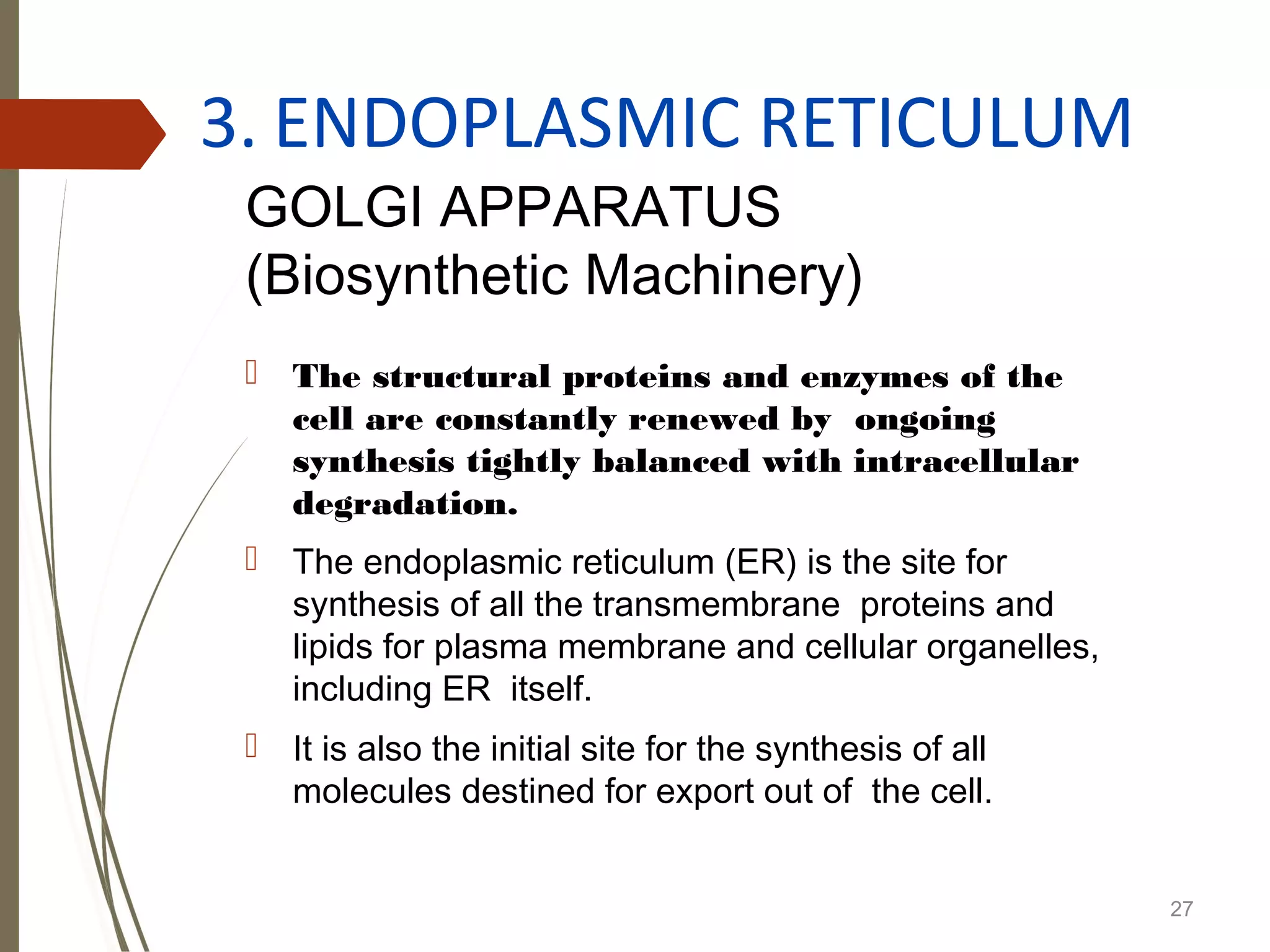 Ch1 cell in Health and disease Robbins Basic Pathology 10th edition | PPT