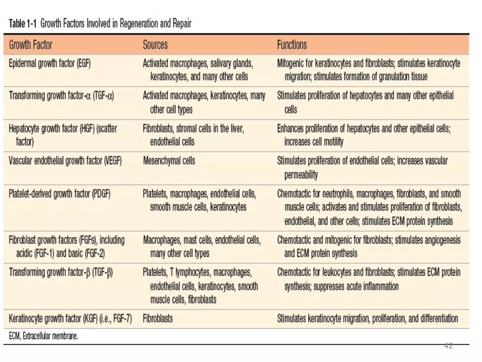 Ch1 cell in Health and disease Robbins Basic Pathology 10th edition | PPT