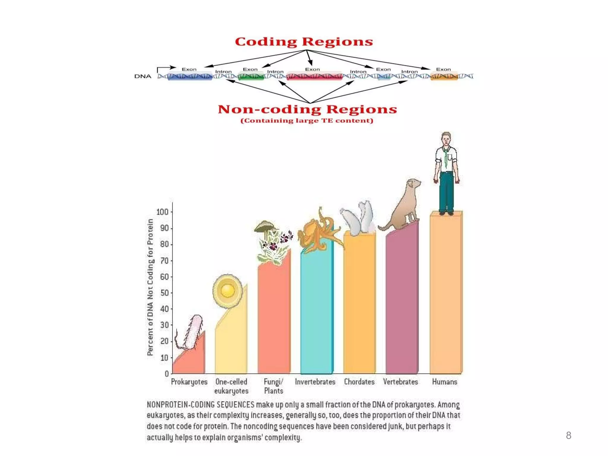 Ch1 cell in Health and disease Robbins Basic Pathology 10th edition | PPT