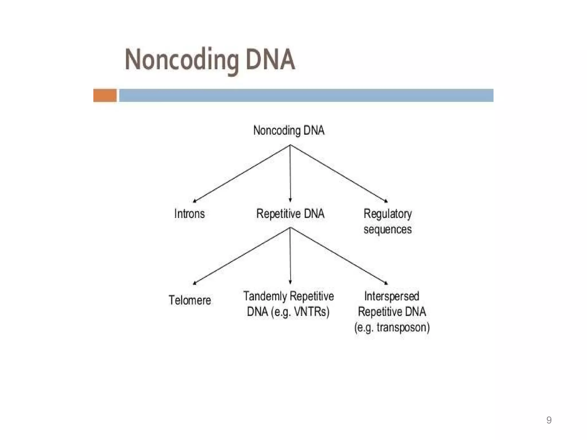 Ch1 cell in Health and disease Robbins Basic Pathology 10th edition | PPT