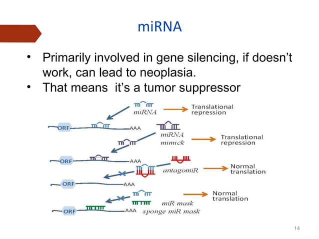 Ch1 cell in Health and disease Robbins Basic Pathology 10th edition | PPT