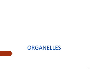 Ch1 cell in Health and disease Robbins Basic Pathology 10th edition | PPT