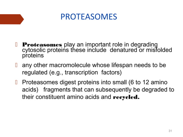 Ch1 cell in Health and disease Robbins Basic Pathology 10th edition | PPT