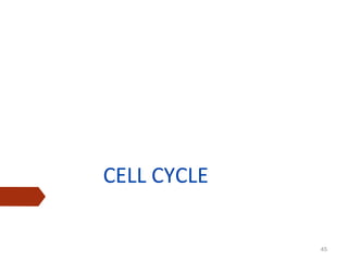 Ch1 cell in Health and disease Robbins Basic Pathology 10th edition | PPT