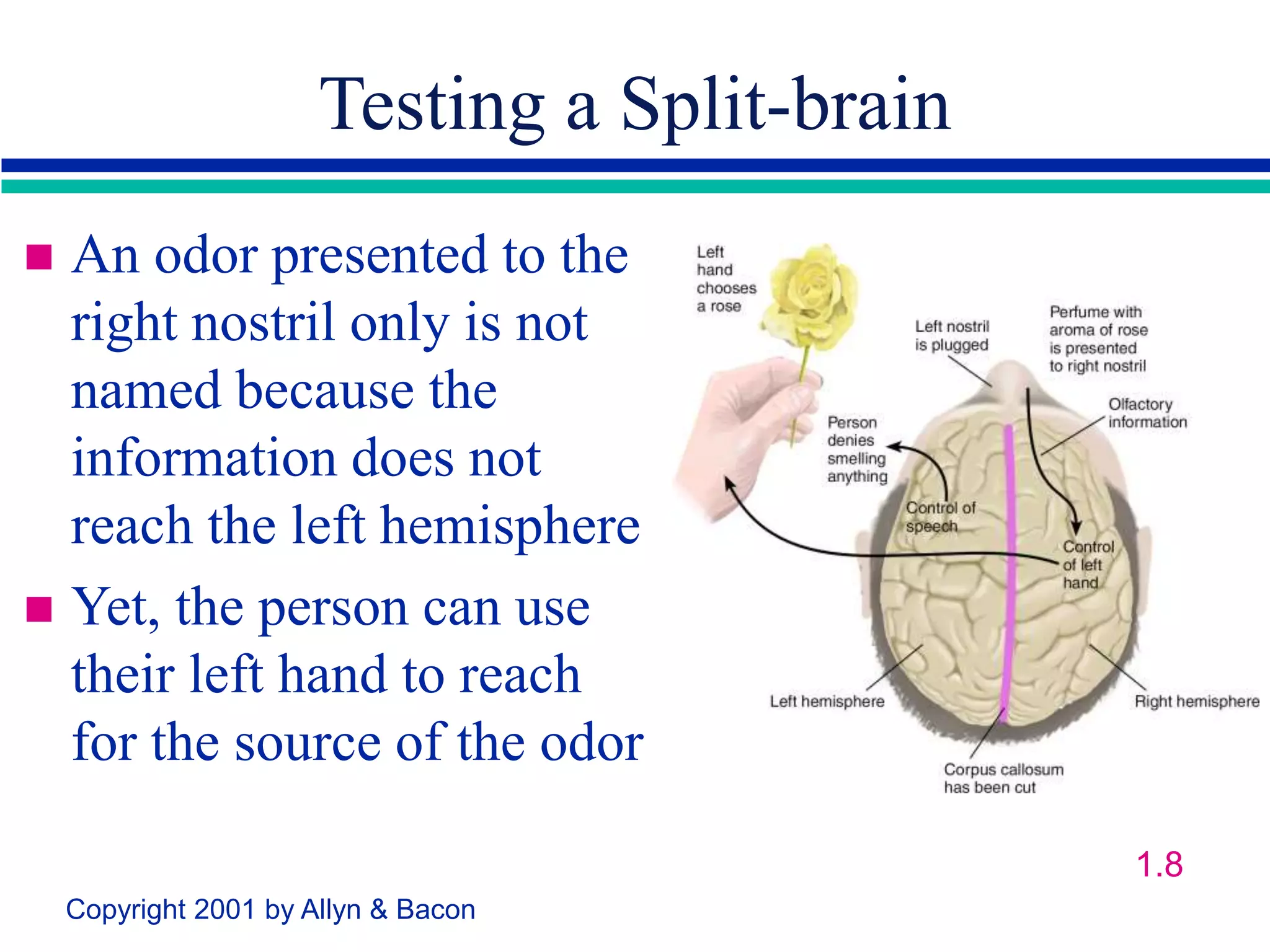 CH1-Lesson 1 - Foundations of Physiological Psychology.ppt