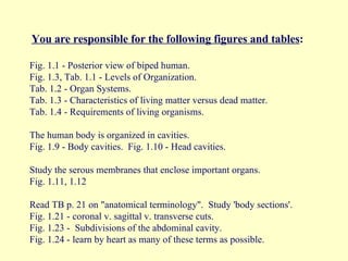 Ch1 Ppt Lect 1[1] | PPT | Reproductive Health | Diseases and Conditions