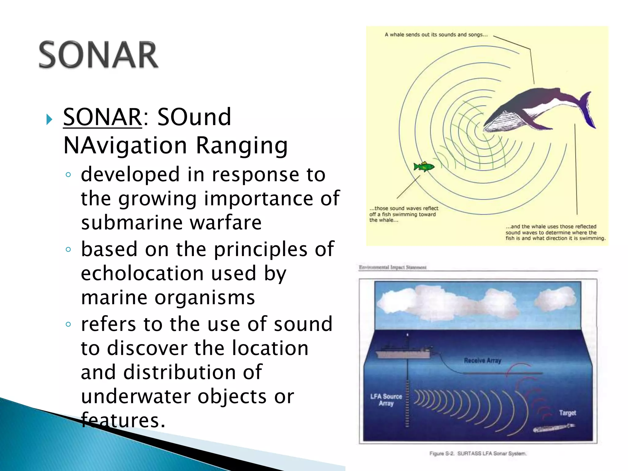Chapter 1 - The Science of Marine Biology | PPTX