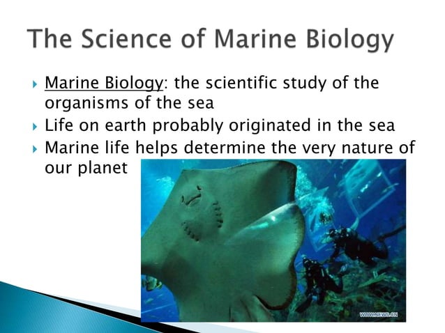 Chapter 1 - The Science of Marine Biology