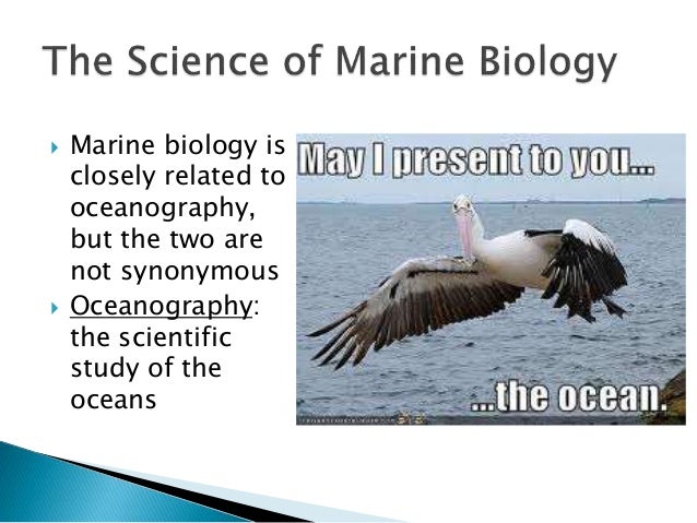 Chapter 1 - The Science of Marine Biology