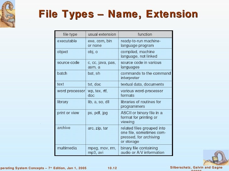 Chapter 10 - File System Interface
