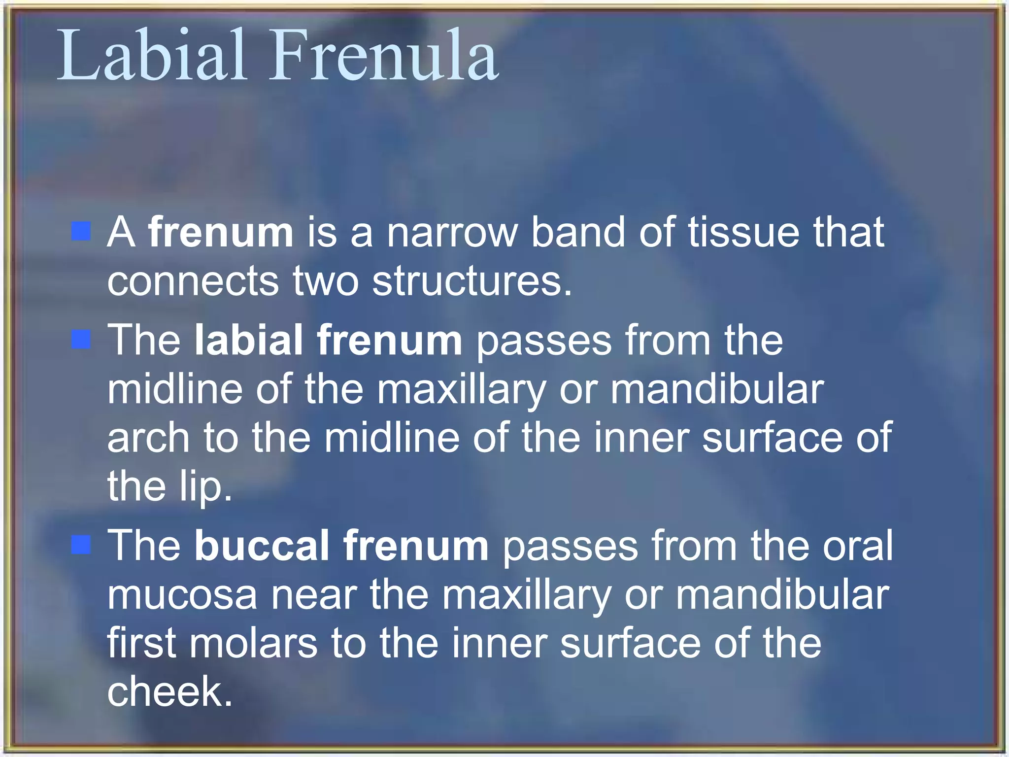 landmarks of face and oral cavity | PPT