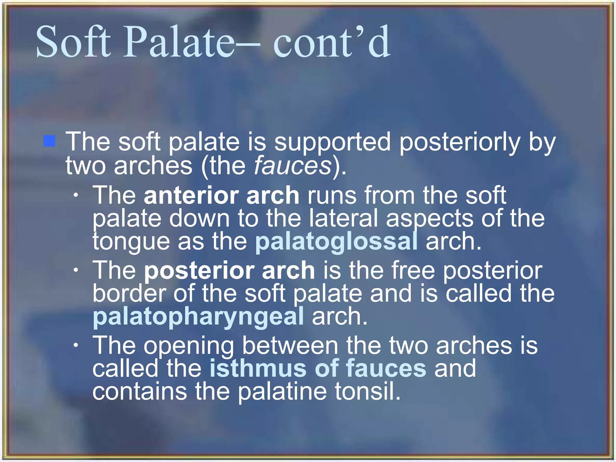 landmarks of face and oral cavity | PPT