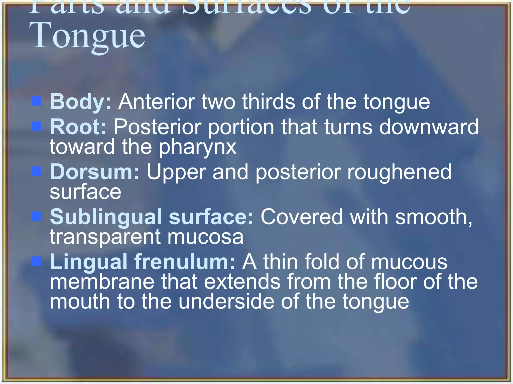 landmarks of face and oral cavity | PPT
