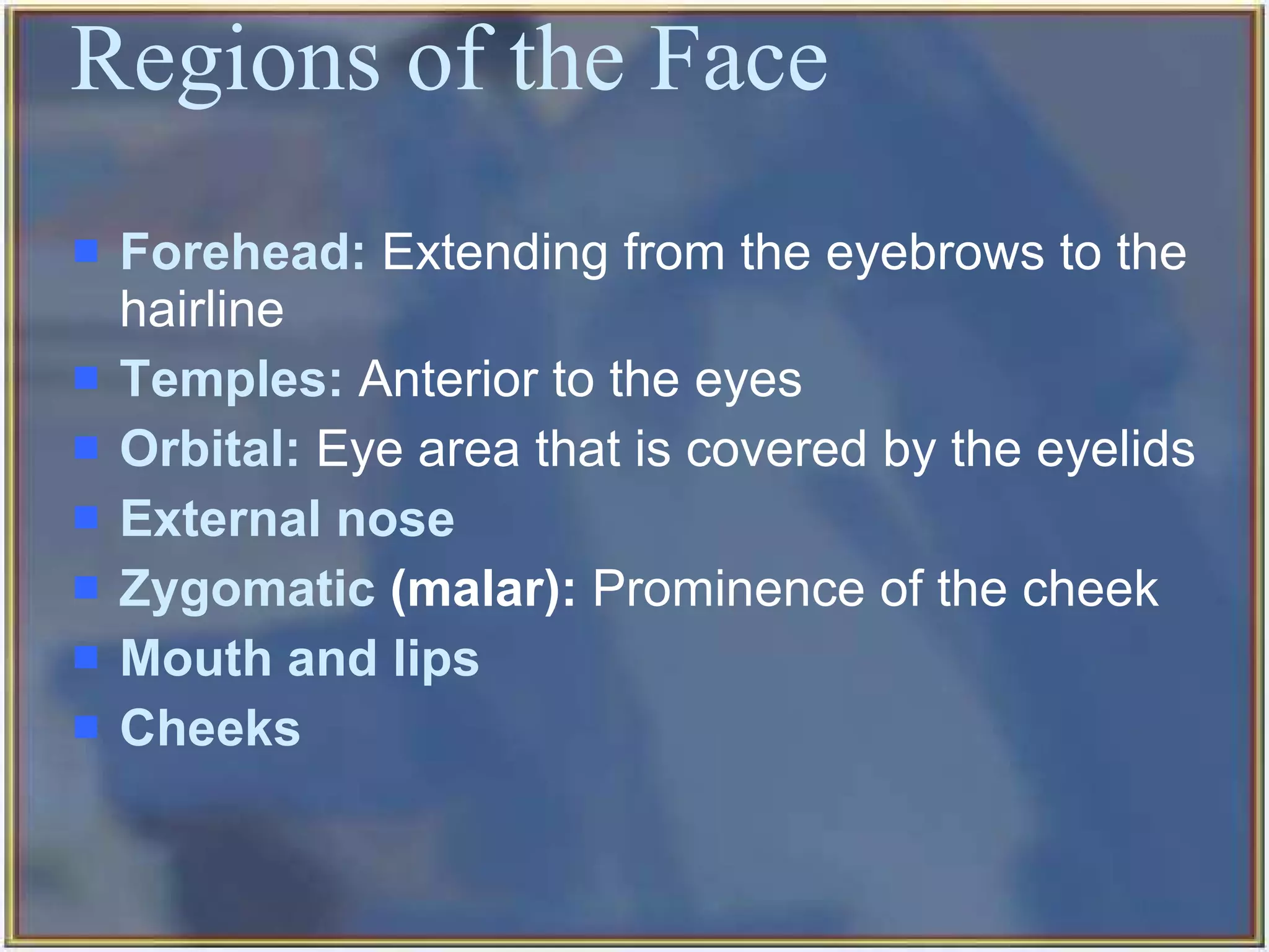 landmarks of face and oral cavity | PPT