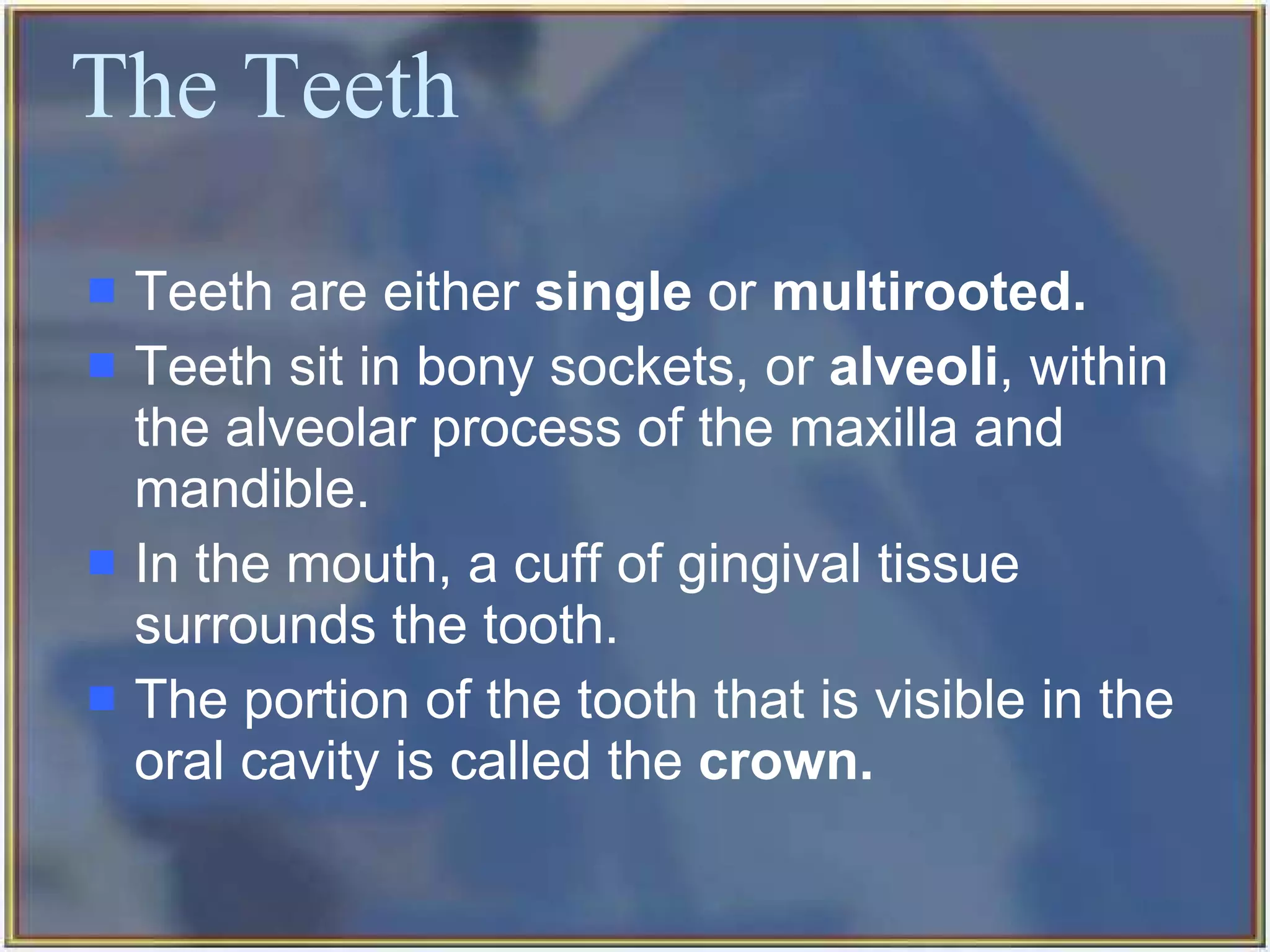 landmarks of face and oral cavity | PPT
