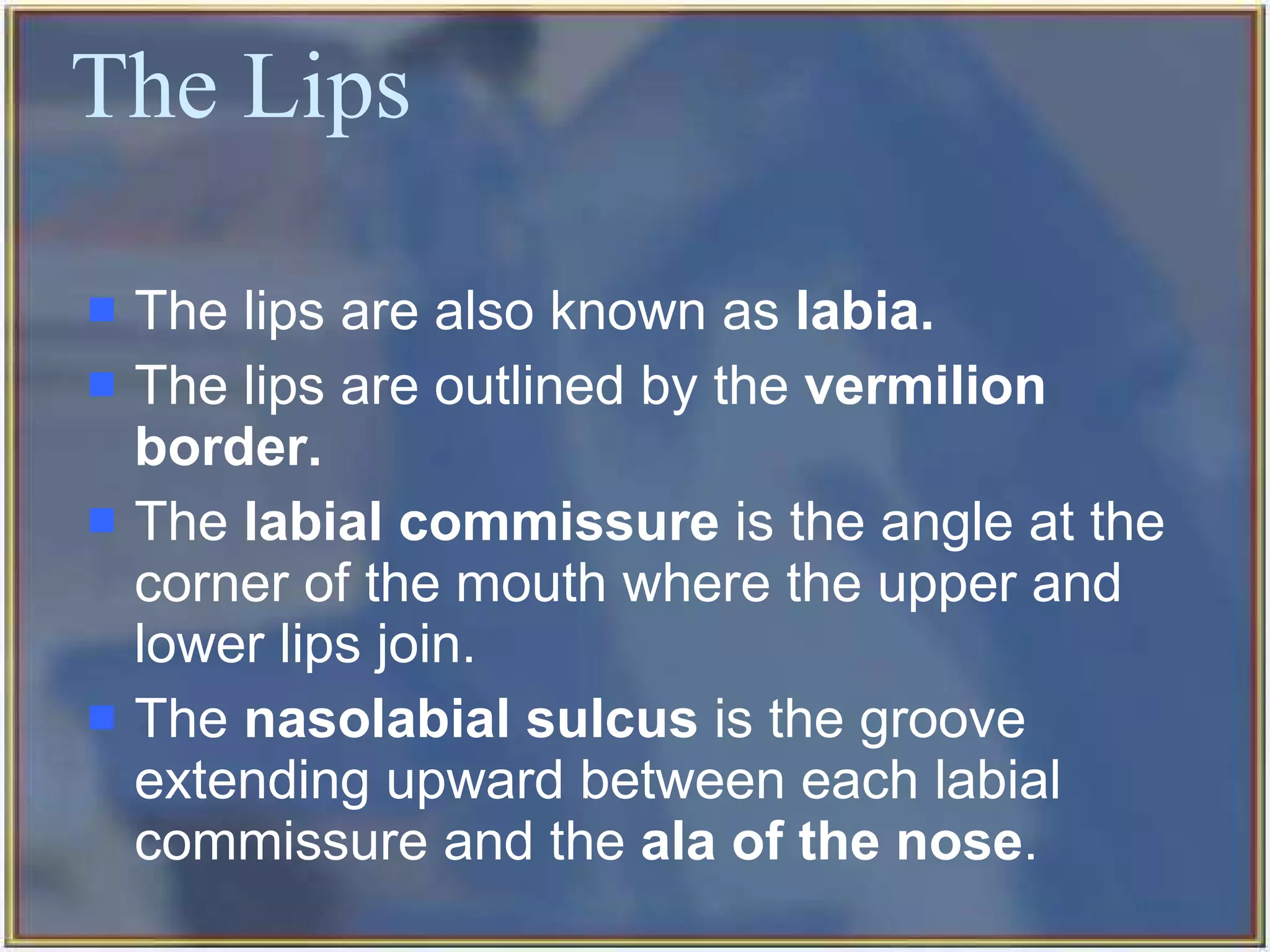 landmarks of face and oral cavity | PPT