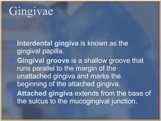 landmarks of face and oral cavity | PPT