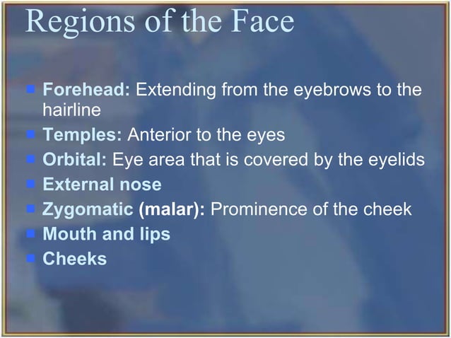 landmarks of face and oral cavity | PPT | Ear, Nose and Throat ...