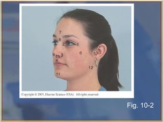 landmarks of face and oral cavity | PPT