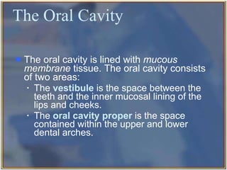 landmarks of face and oral cavity | PPT