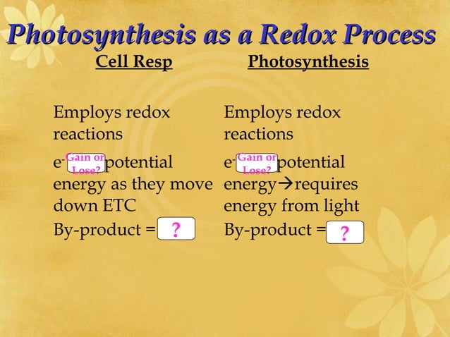 AP Biology Ch 8 Photosynthesis Light Reactions | PPT | Biological ...