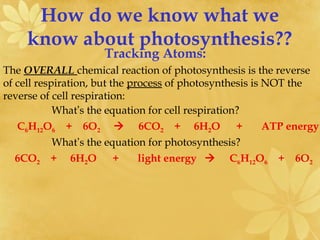 AP Biology Ch 8 Photosynthesis Light Reactions | PPT