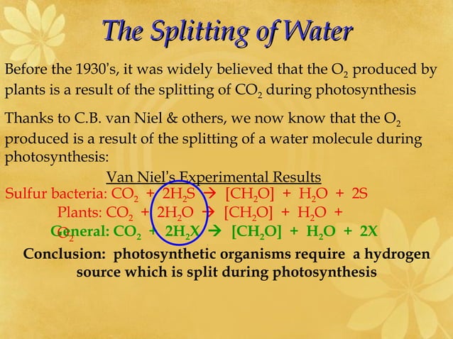 AP Biology Ch 8 Photosynthesis Light Reactions | PPT | Biological ...