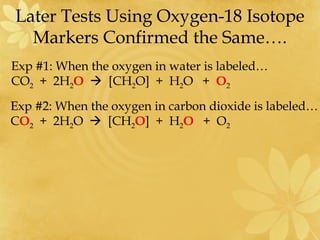 AP Biology Ch 8 Photosynthesis Light Reactions | PPT
