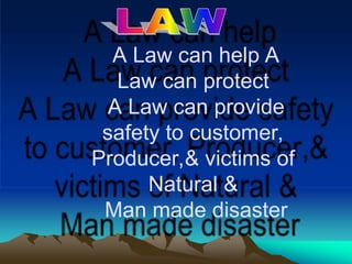 Ch 10. Law and Social Justice 2 (1).ppt.. | PPT