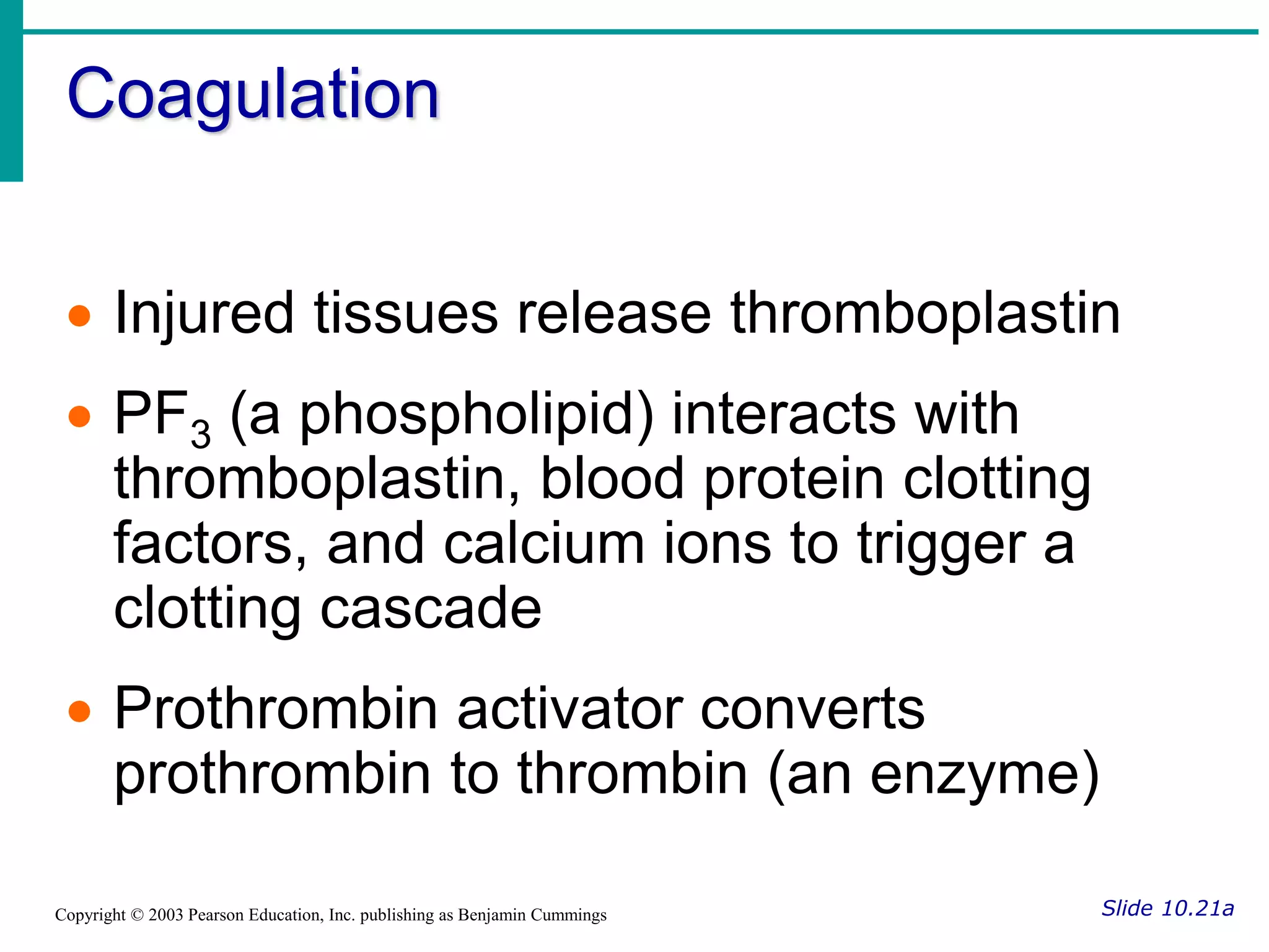 Ch 10 Blood.ppt