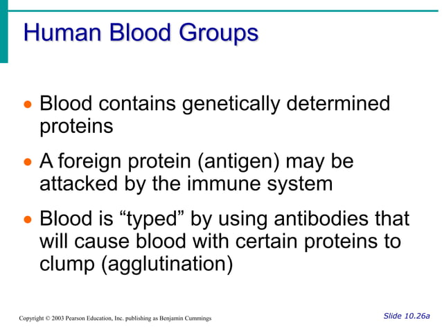 Ch 10 Blood.ppt