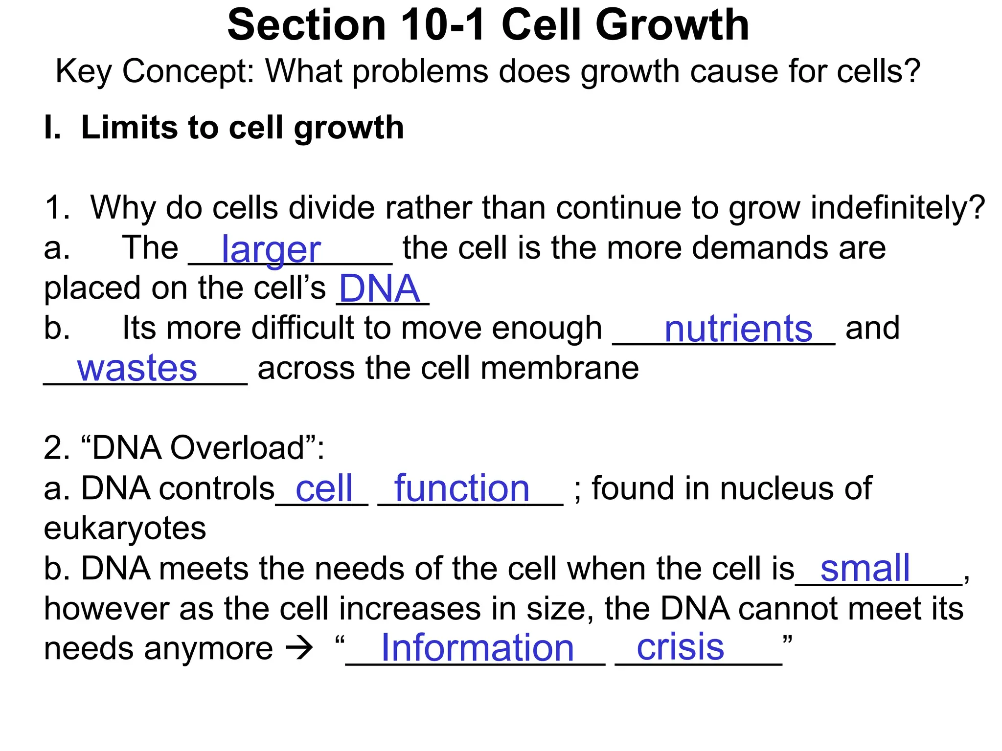 Biology- Cell Cyle - Mitosis and Meiosis | PPT