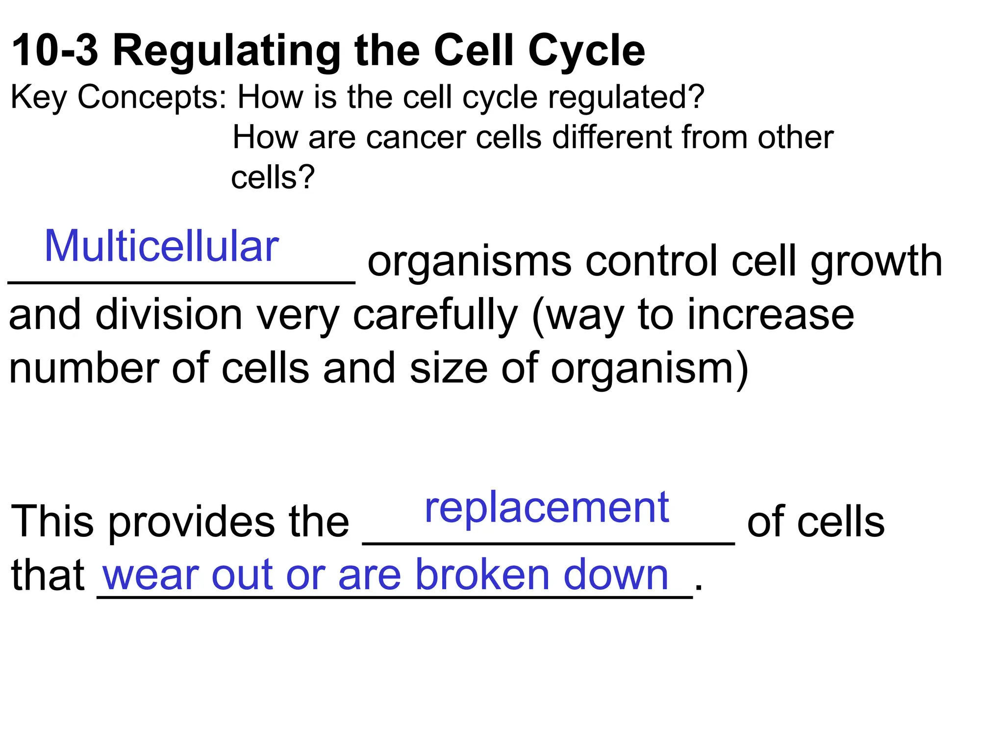 Biology- Cell Cyle - Mitosis and Meiosis | PPT