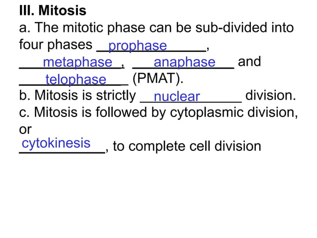 Biology- Cell Cyle - Mitosis and Meiosis | PPT