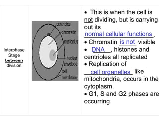 Biology- Cell Cyle - Mitosis and Meiosis | PPT