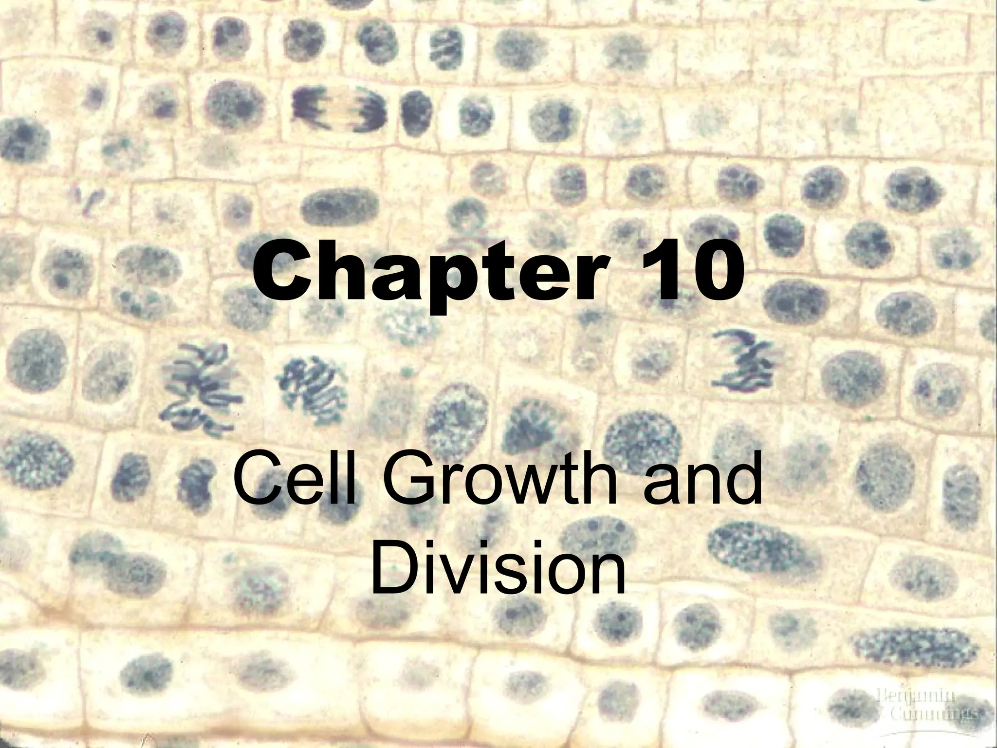 Cell Division - Mitosis and Meiosis lect | PPT | Biological Sciences ...