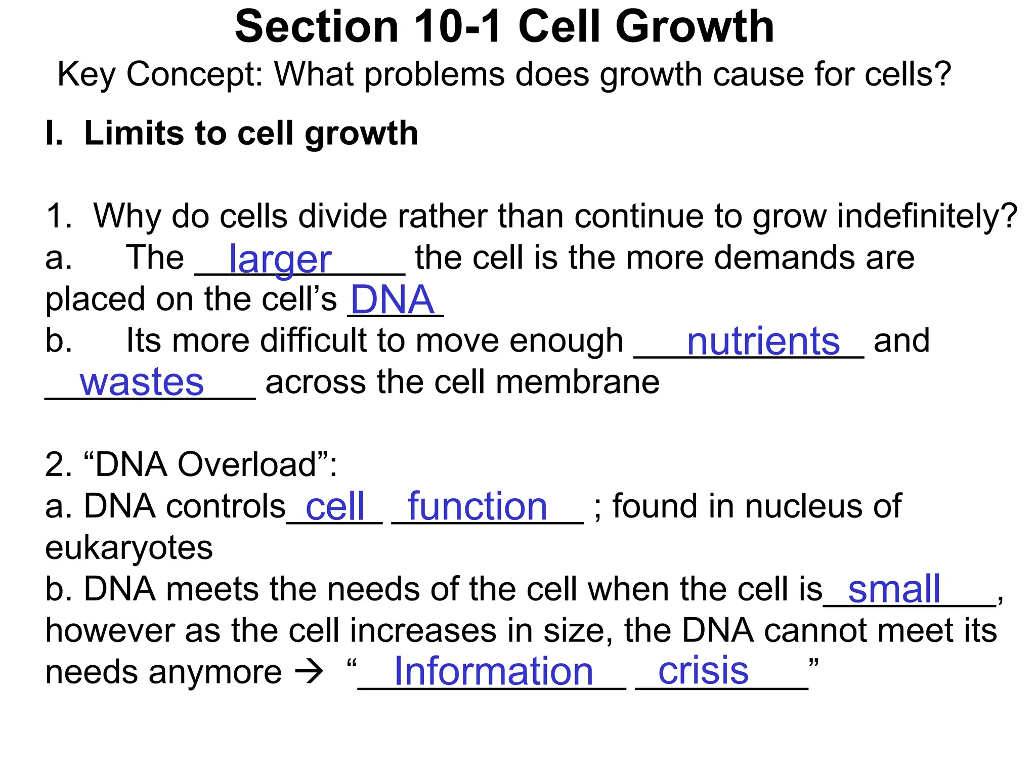 Cell Division - Mitosis and Meiosis lect | PPT | Biological Sciences | Science