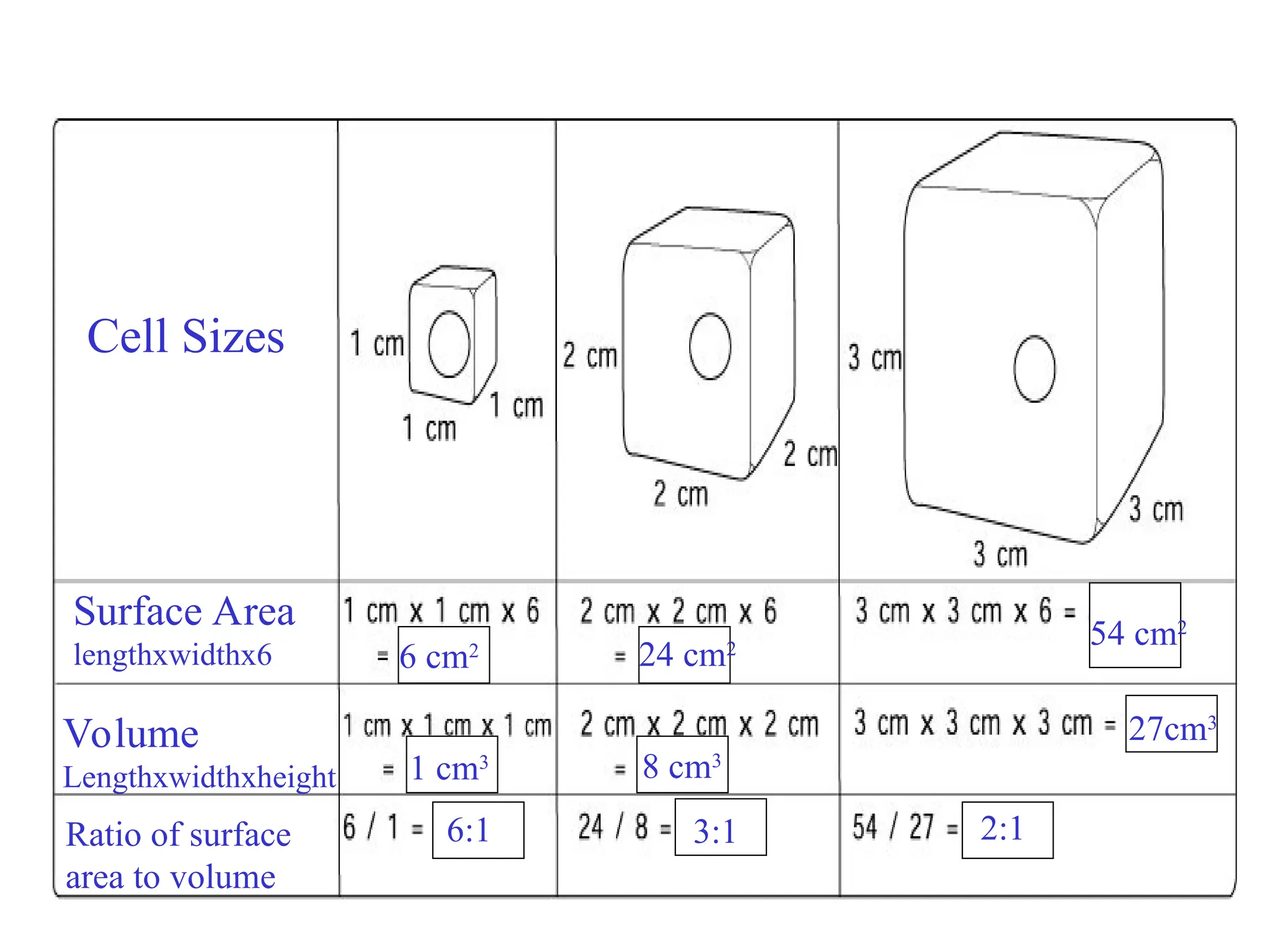 Cell Division - Mitosis and Meiosis lect | PPT | Biological Sciences ...