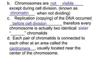 Cell Division - Mitosis and Meiosis lect | PPT