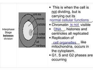 Cell Division - Mitosis and Meiosis lect | PPT