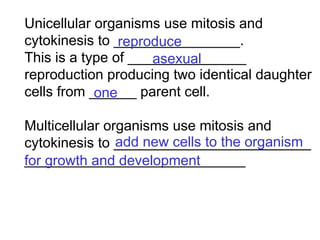 Cell Division - Mitosis and Meiosis lect | PPT