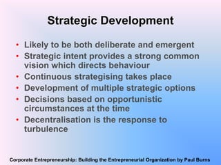 Ch10 entrepreneurial strategies | PDF