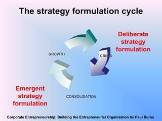 Ch10 entrepreneurial strategies | PDF