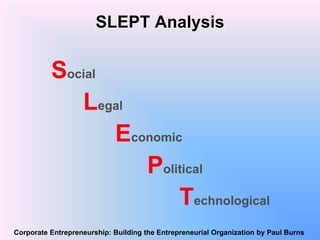 Ch10 entrepreneurial strategies | PDF