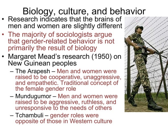 Ch 10 inequalities_of_gender_and_age | PPT