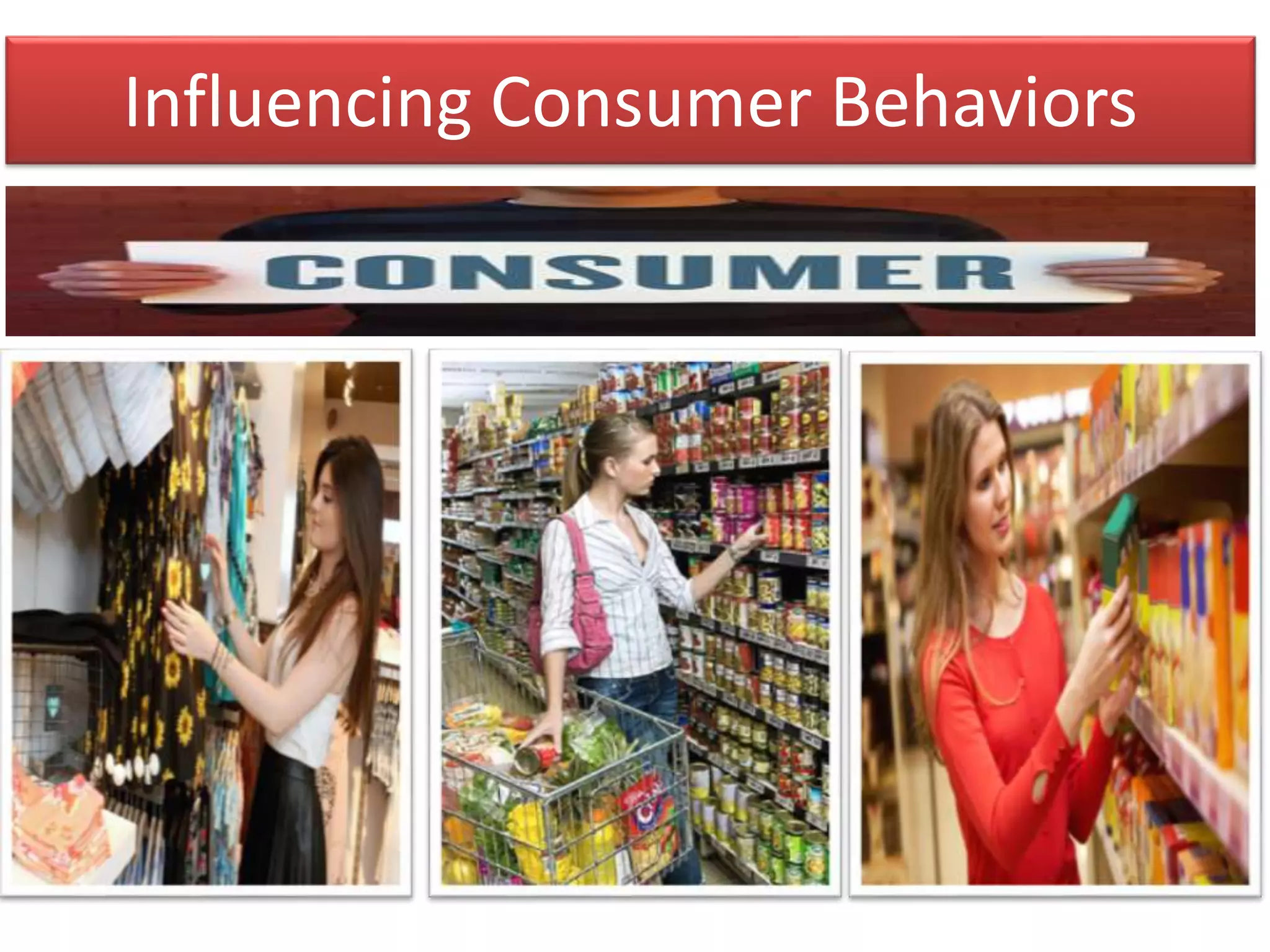 Ch 10 Influencing Consumer Behaviors | PPTX