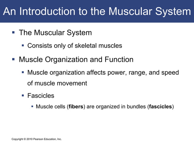 Ch 10 Lecture Outline | PPT