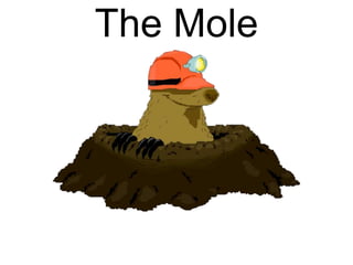 Ch 10 PPT...The Mole.pptx