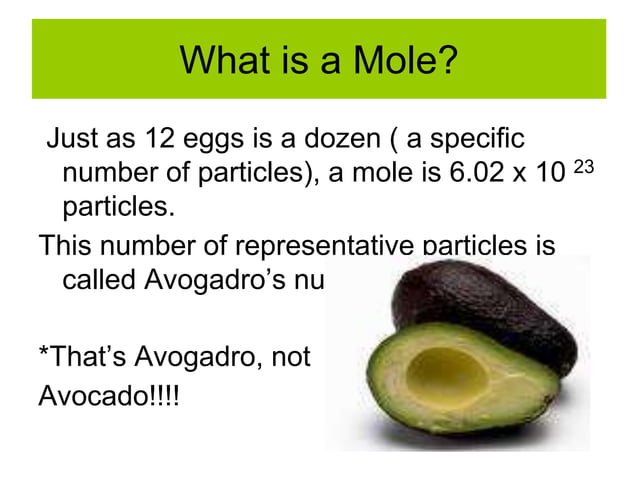 Ch 10 PPT...The Mole.pptx